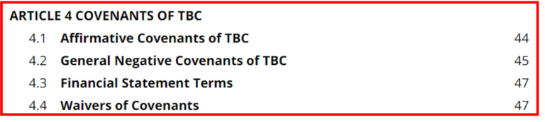 Debt Covenants - what are the terms of borrowings? - skillfine